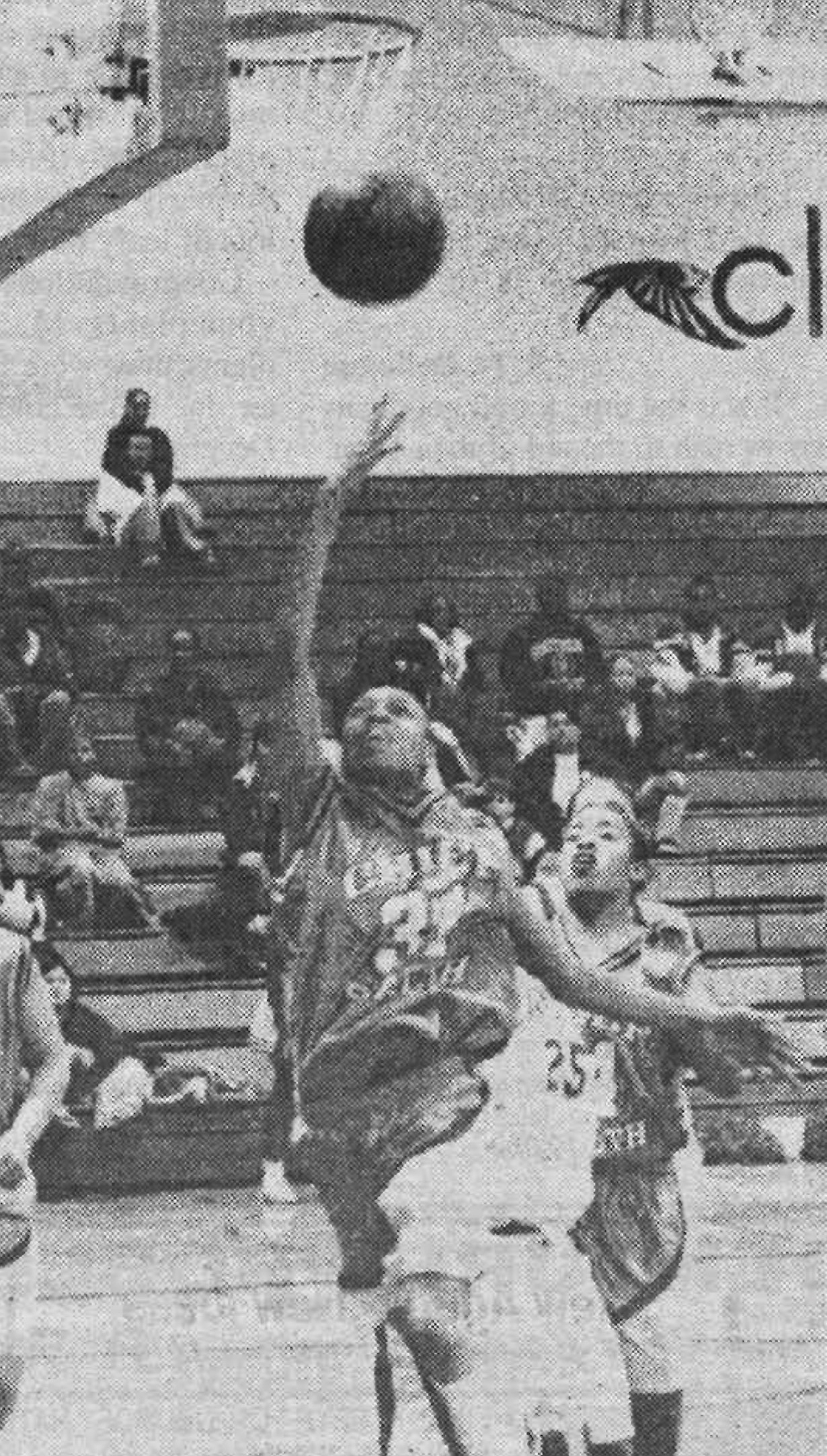 Sealth's Sheila Lambert among SPS Hall of Fame inductees | Westside Seattle